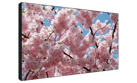 Купить LED панель Sharp [PNV601] 1366x768 60 дюймов