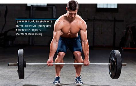 Спортивное питание для начинающих - полное руководство
