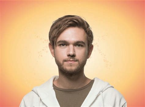 Pin on Zedd