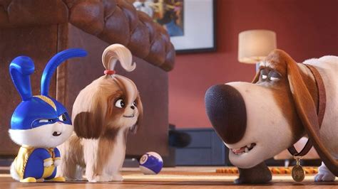 Pets 2 - Kritik | Film 2018 | Moviebreak.de