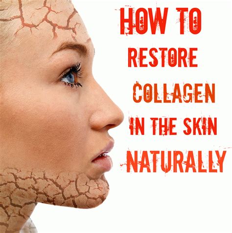Коллаген (Collagen) польза и вред. Какими полезными свойствами обладает ...