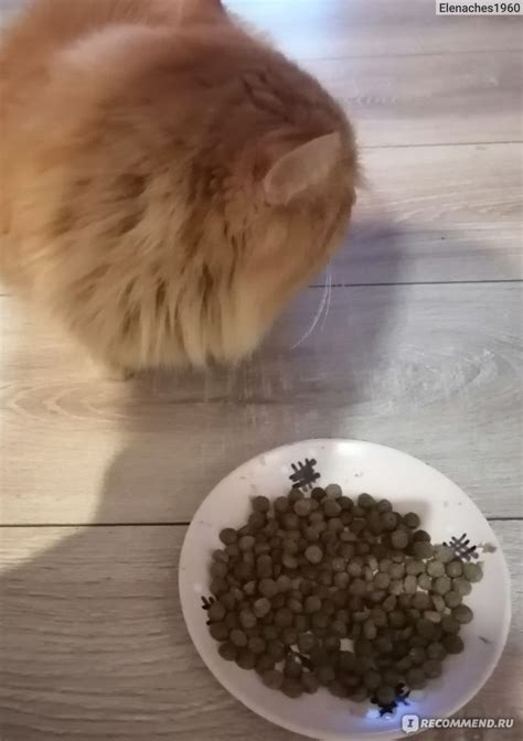 Корм для кошек Cat&Man Полнорационный сбалансированный сухой корм для ...