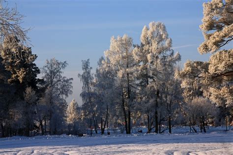 Фото Псково-Печёрский монастырь., альбом НОВОЕ - 177 фото | Фотографии ...