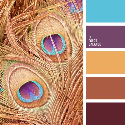 фиолетово-коричневый | IN COLOR BALANCE
