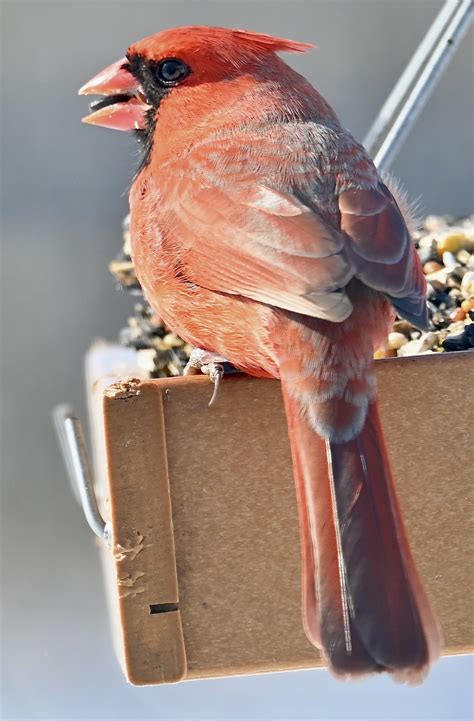 Honoring Local Legacies With Compassionate Care At Marnocha Funeral ...