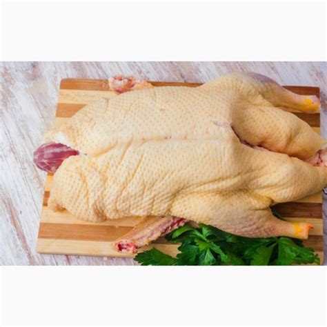 Продам ГУСИНОЕ мясо замороженное Линдовской породы оптом, Уфа — APKRU.com