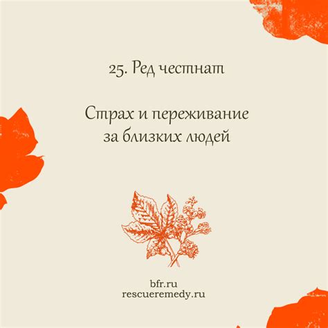 Капли "Цветы Баха" - натуральное успокоительное средство