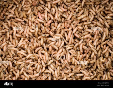 Maden Therapie Stockfotos und -bilder Kaufen - Alamy