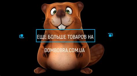 Обзор товара "Дом бобра": дорожный органайзер - YouTube