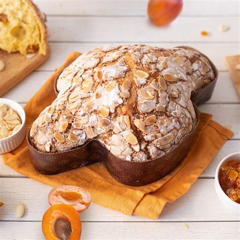 La Colomba all'Albicocca