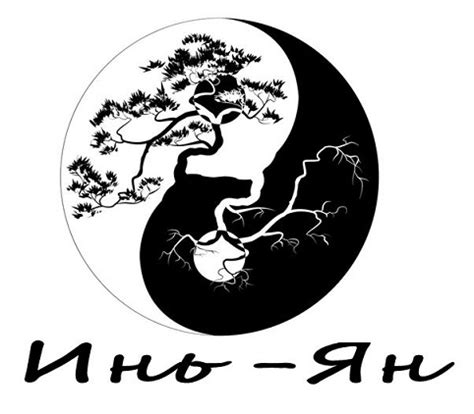 Инь-ян (Поздняков Евгений) / Проза.ру