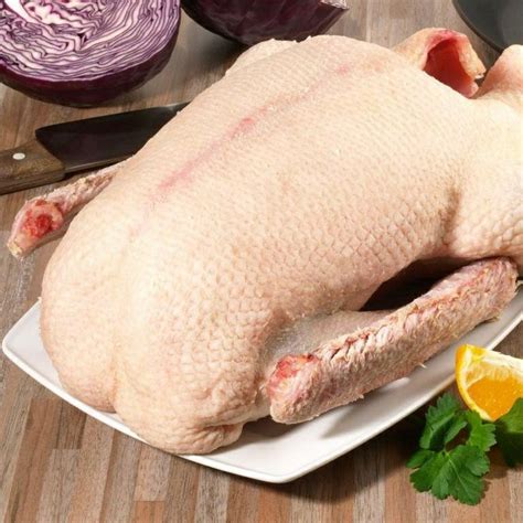 Сколько растет гусь на мясо: Гусь – птица экономная Улпресса