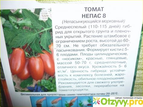 Томат Непас: описание самых урожайных и сладких сортов непасынкующихся ...