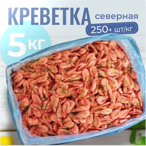 Креветка северная варено-мороженая 250+, 5 кг купить на OZON по низкой ...