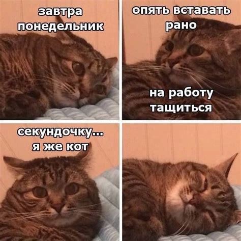 cursed images 2024 | ВКонтакте