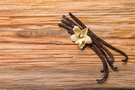Vanillin: Difference to Vanilla, Production and Worth Knowing ...