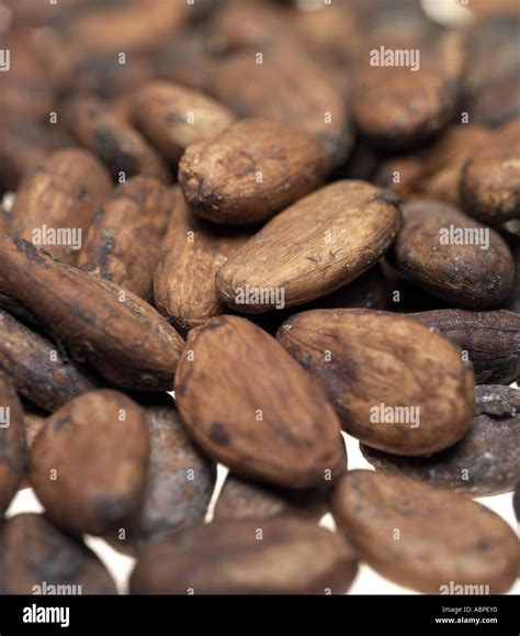 Ghana cocoa beans hi-res stock photography and images - Alamy