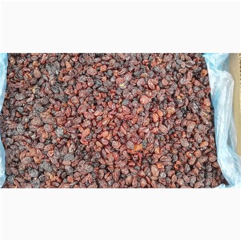 Изюм черно-красный — Agro-Uzbekistan