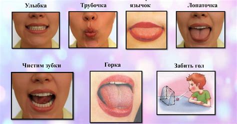 Схемы артикуляции звуков в картинках для дошкольников
