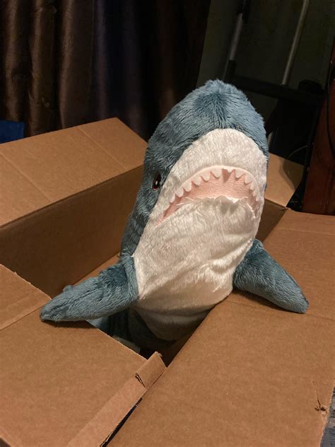 Blahaj blast arrives! : r/BLAHAJ