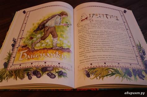 Книга: Сказки о цветах. Латышский букет - Анна Саксе. Купить книгу ...