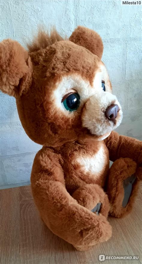 Hasbro Интерактивная мягкая игрушка FurReal Friends Русский мишка Е4591 ...