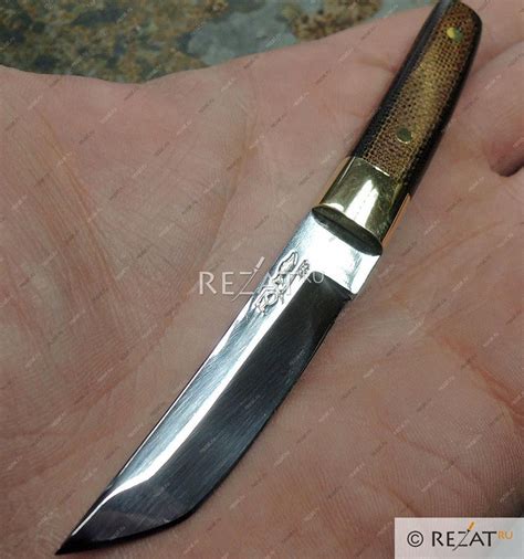 Нож скрытого ношения с фиксированным клинком Fox Mini Tanto F631 купить ...