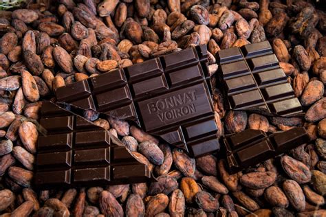 Cacao chocolat » Vacances - Guide Voyage