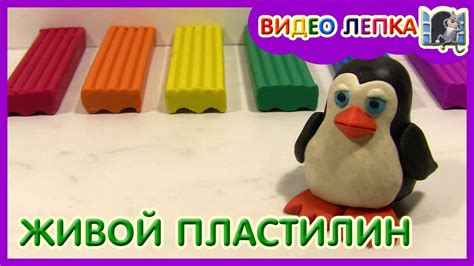 ПИНГВИН - Лепим из пластилина | Видео Лепка - YouTube