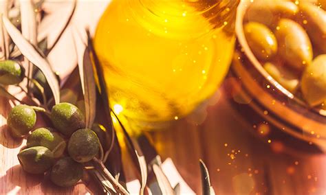Historia y cultura del aceite de oliva - La Española Aceites