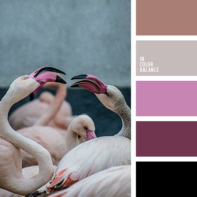 оттенки розового | IN COLOR BALANCE