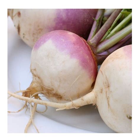 Nabo ecológico - BIOFOOD, Naturalmente