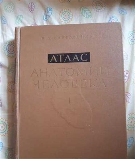 Атлас анатомии человека. Синельников 1 том | Festima.Ru - Мониторинг ...