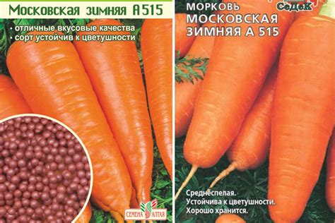 Морковь Московская зимняя: отзывы, описание сорта, характеристика, фото ...