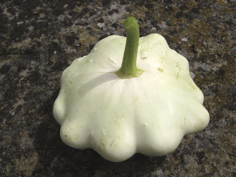Oele Garten: Patisson