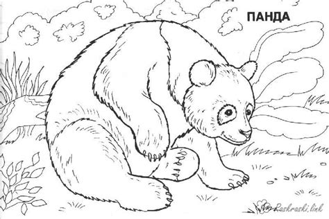 Азия Раскраски распечатать бесплатно.