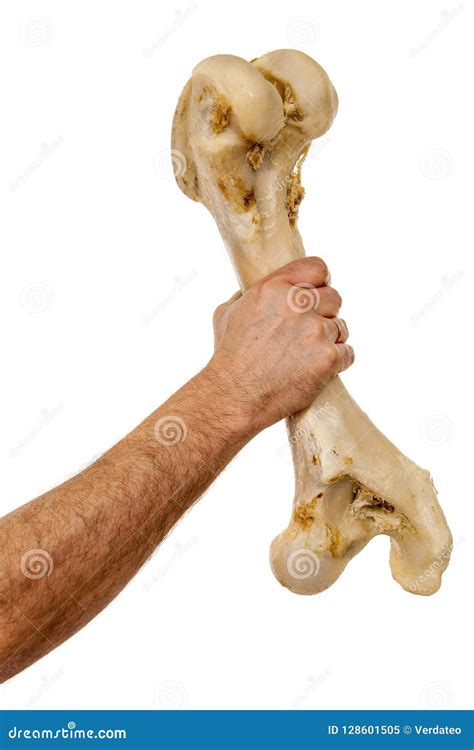 Bones Big Bone Bones Png 448x928 PNG Download PNGkit | atelier-yuwa.ciao.jp