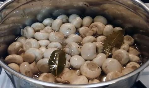 Маринованные шампиньоны в домашних условиях быстрого приготовления и на ...