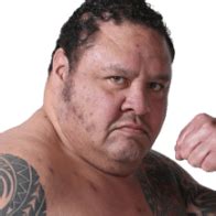 Akebono: Profile, Career Stats, Face/Heel Turns, Titles Won & Gimmicks ...