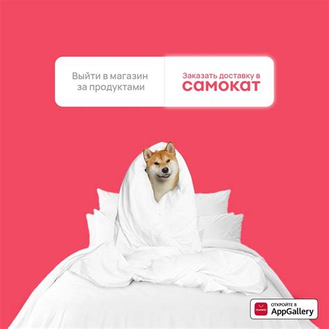 Доставка продуктов за 15 минут и не вставая с дивана со смартфонами ...