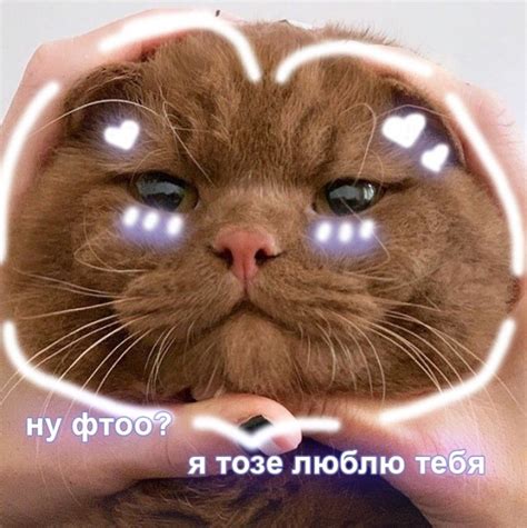 я тозе люблю тебя | Cute texts, Love memes, Sweet memes