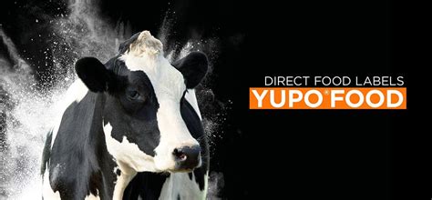 YUPOFOOD - Superyupo