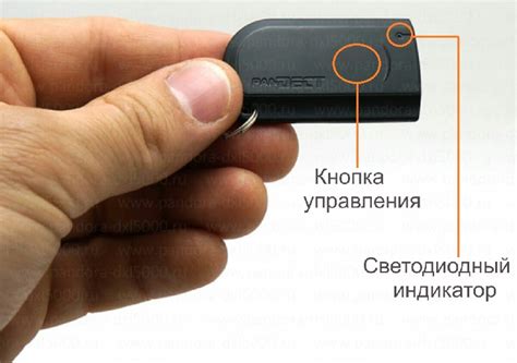 Метка сигнализации Pandora - купить в СПб, цена с установкой и без ...