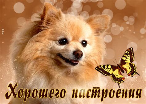Уникальная открытка Хорошего настроения! С милой собачкой- Скачать ...