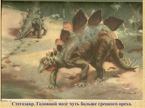 Юрский период. (Лекция 15) - презентация онлайн