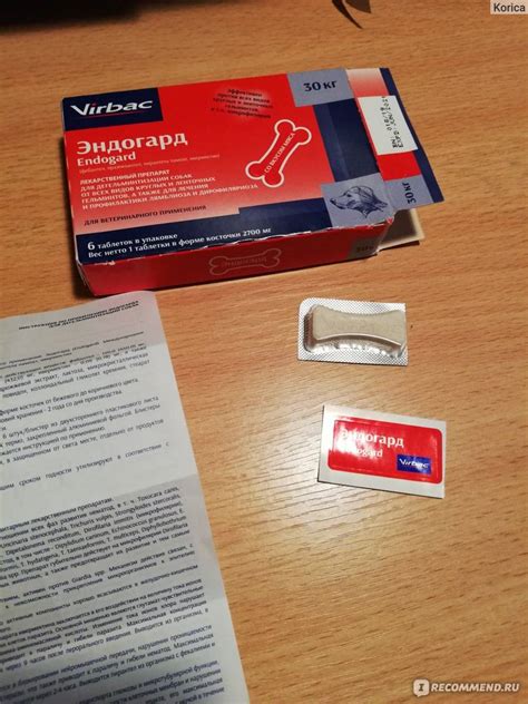 Эндогард для собак: инструкция по применению, цена, отзывы