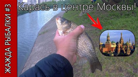 Карась на боковой кивок в Москве. Летняя мормышка (безмотылка). - YouTube