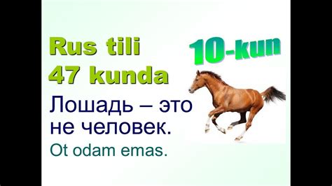 Рус тили 47 кунда 10-кун. - YouTube