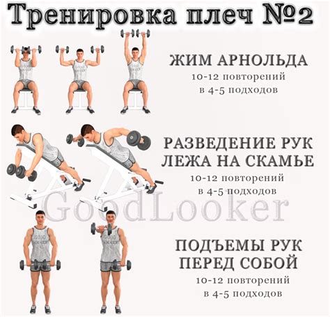 Топ-8 упражнений с гантелями на плечи для дома и зала