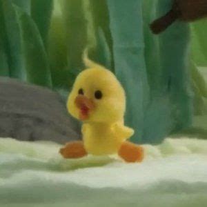 Mofy duck – Artofit